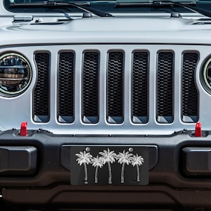 Black License Plate, Cute Palm Tree License Plate, Beach Vanity License ...