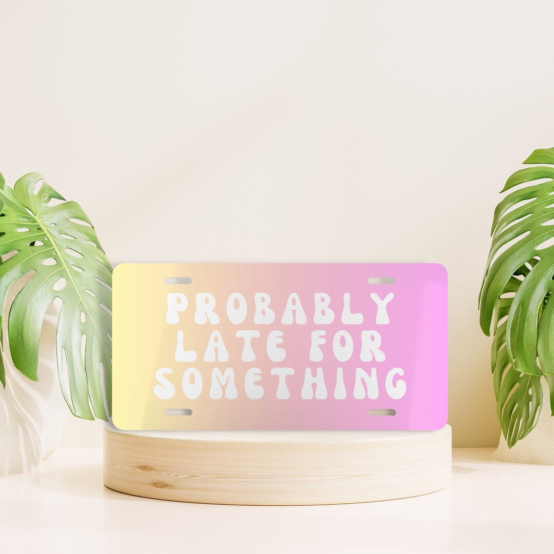 Funny License Plate, Ombre Color Front License Plate, Gradient Color ...