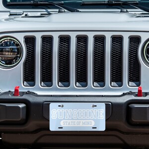 Sunshine License Plate, Summer License Plate, Light Blue Front License ...