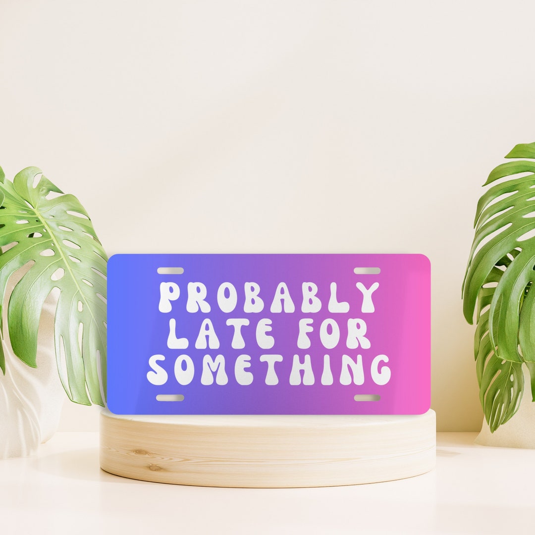 Funny License Plate, Cute Car Accessory, Gradient Color License Plate ...