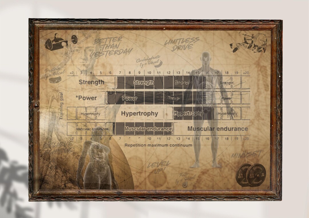 Physical Fitness Anatomy Inspired Wall Art With Gym Attributes ...