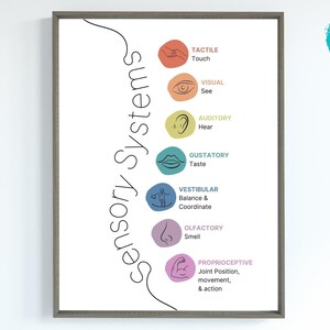 7 Sensory Systems Poster: OT Therapist Office Decor (digital Download ...