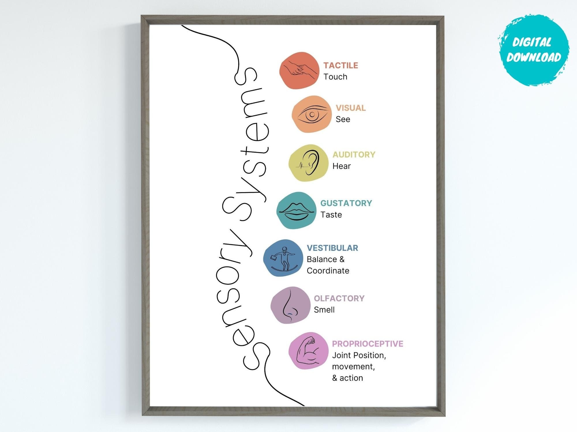7 Sensory Systems Poster: OT Therapist Office Decor (digital Download ...