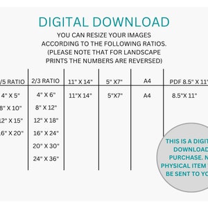OT Core Values Poster, Occupational Therapy Values and Principles, OT ...