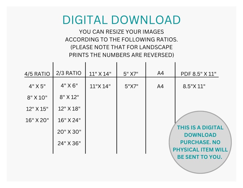 OT Core Values Poster, Occupational Therapy Values and Principles, OT ...