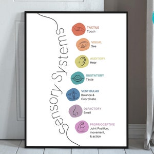 7 Sensory Systems Poster: OT Therapist Office Decor (digital Download ...