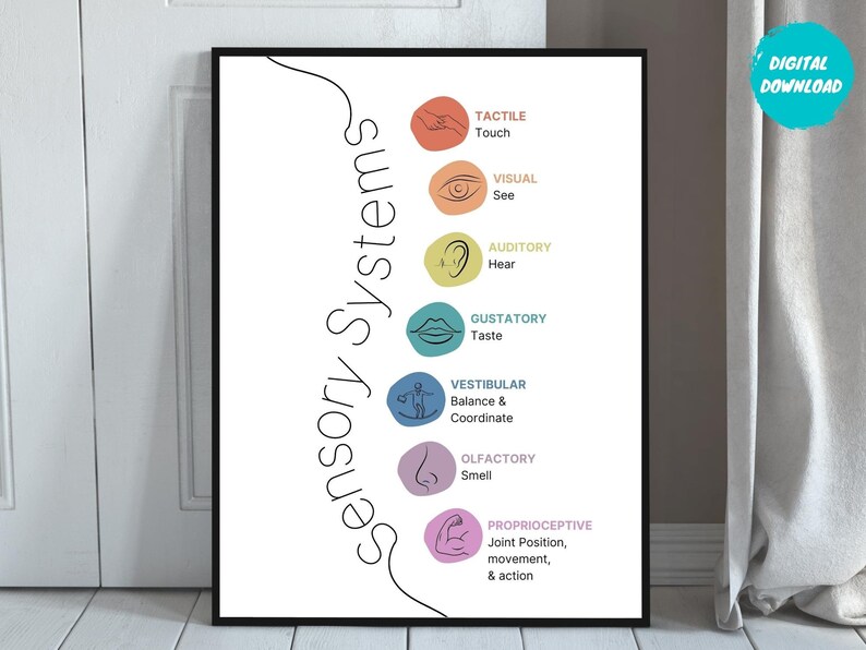 Sensory System Poster, Sensory Integration Poster, 7 Senses Therapy ...