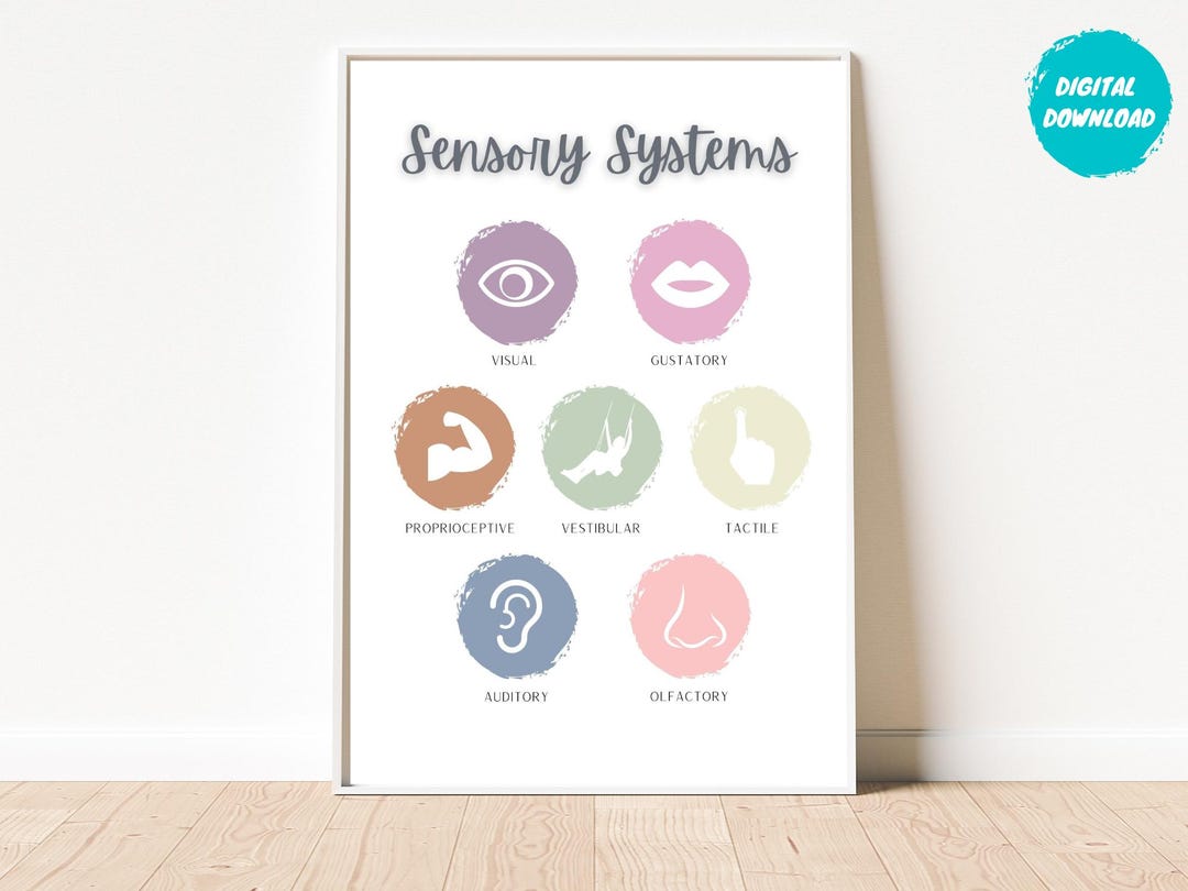Sensory Systems Poster, Pastel Color 7 Sensory Systems Poster, Therapy ...