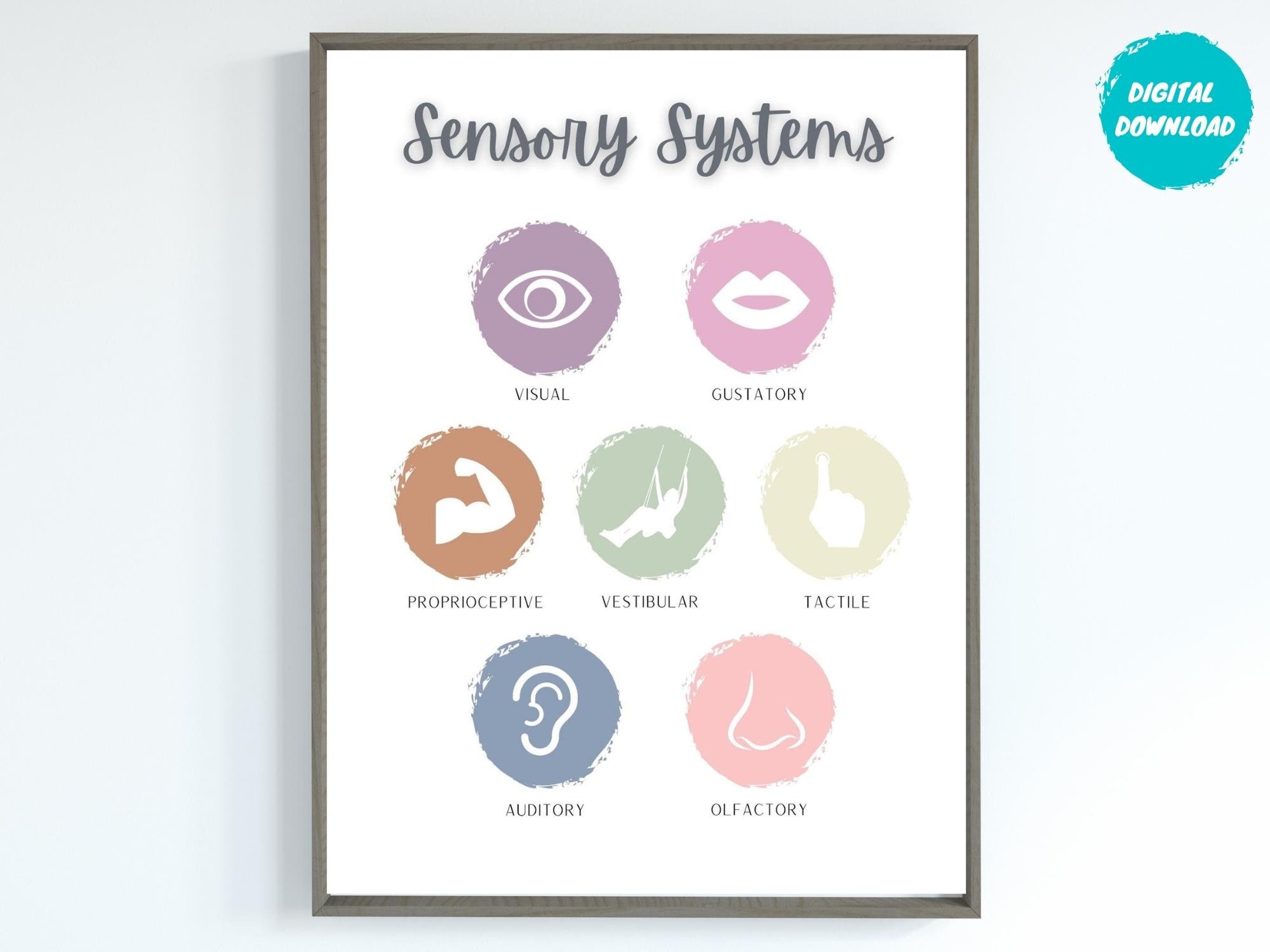 Sensory Systems Poster, Pastel Color 7 Sensory Systems Poster, Therapy ...
