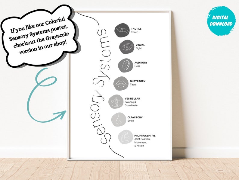 Sensory System Poster Sensory Integration Poster 7 Senses - Etsy