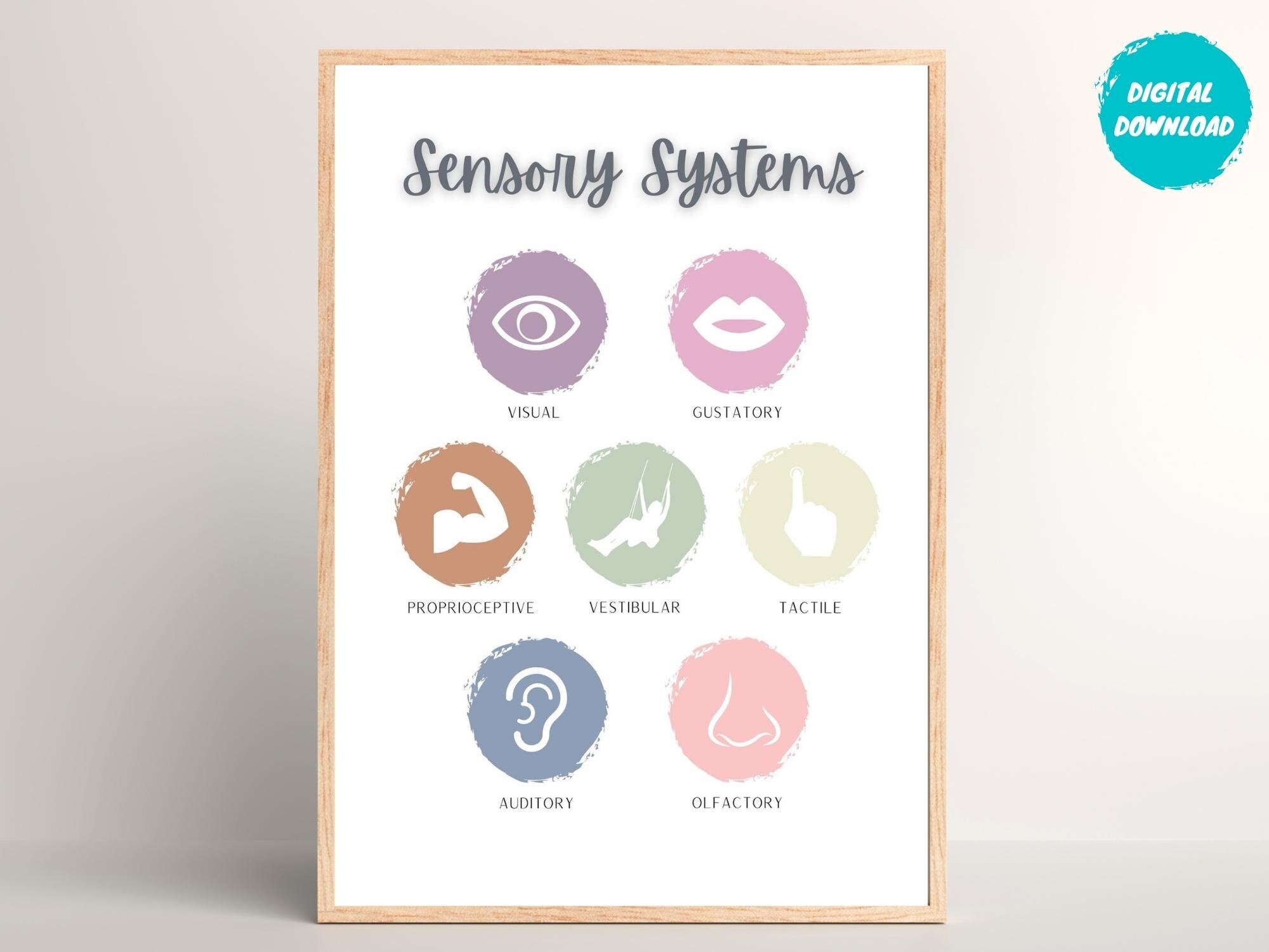 Sensory Systems Poster, Pastel Color 7 Sensory Systems Poster, Therapy ...