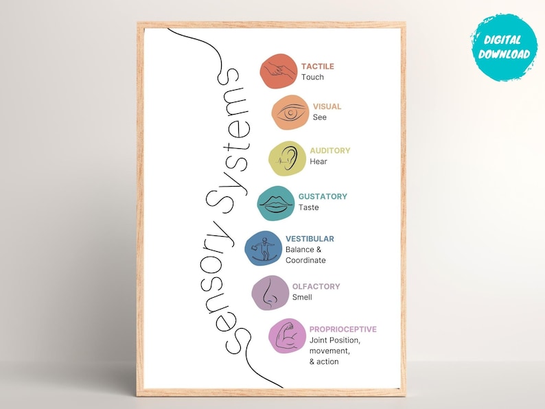 7 Sensory Systems Poster: OT Therapist Office Decor (digital Download ...