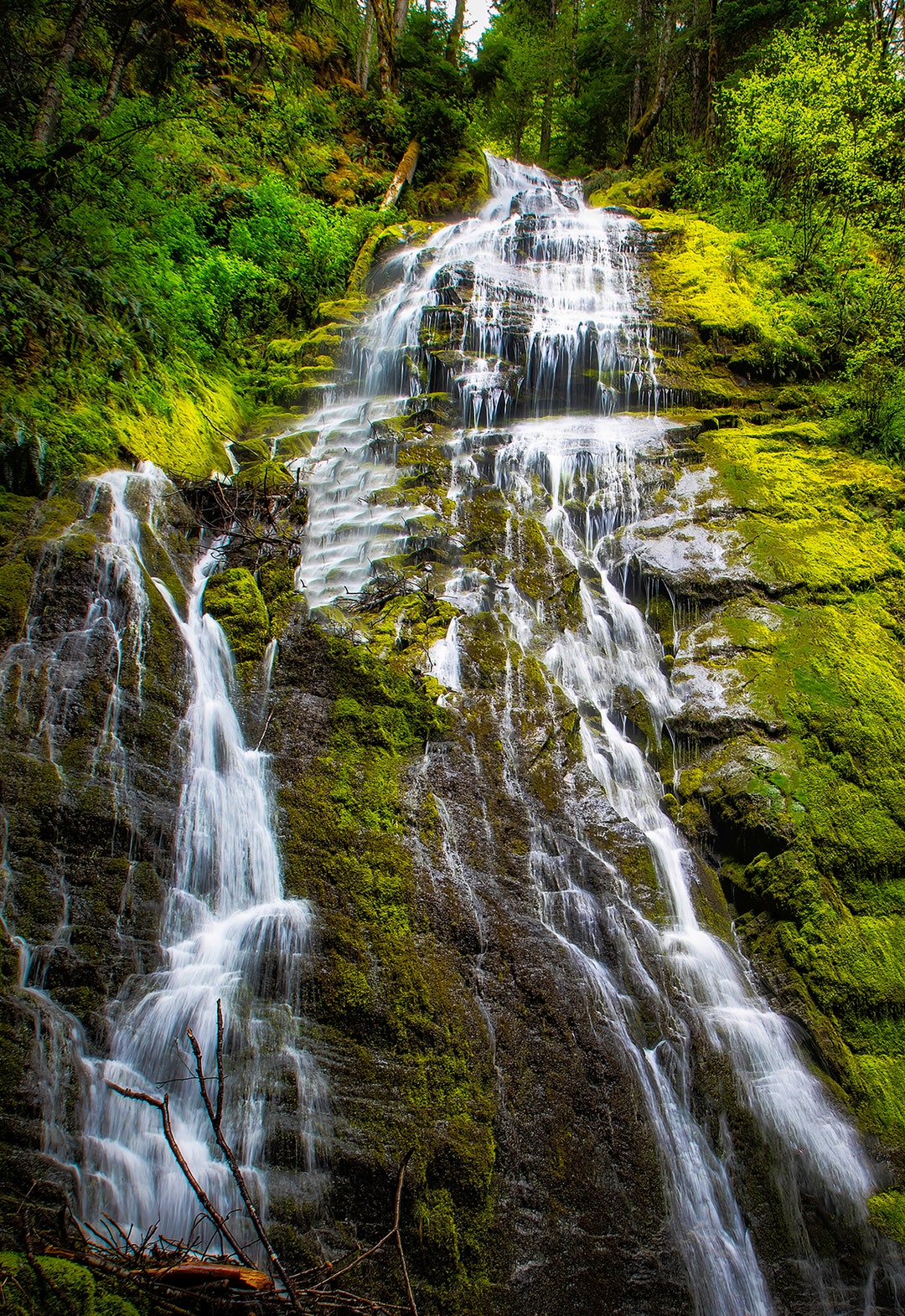 Angels Fall, Gifford Pinchot National Forest Covel Creek Falls Angel ...