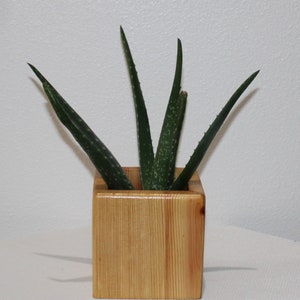 Small Wooden Planter Box, Small Storage Box, Small Keepsake Box - Etsy
