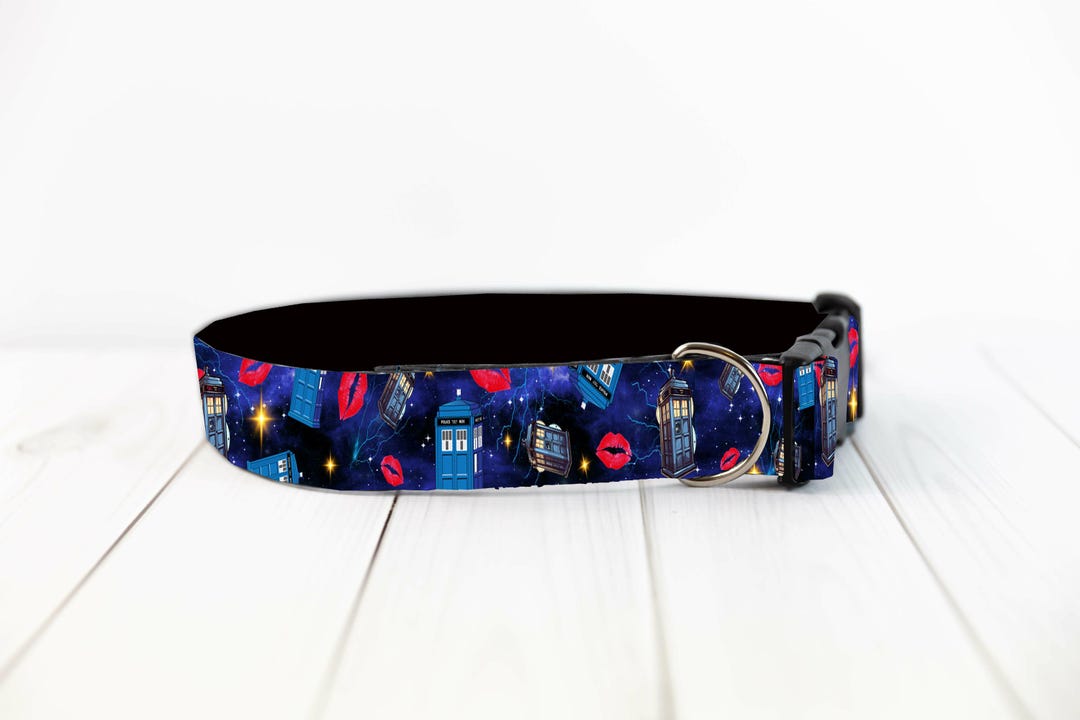 Personalized Tardis Inspired Movie Dog and Cat Collar and Leash Set, Dr ...