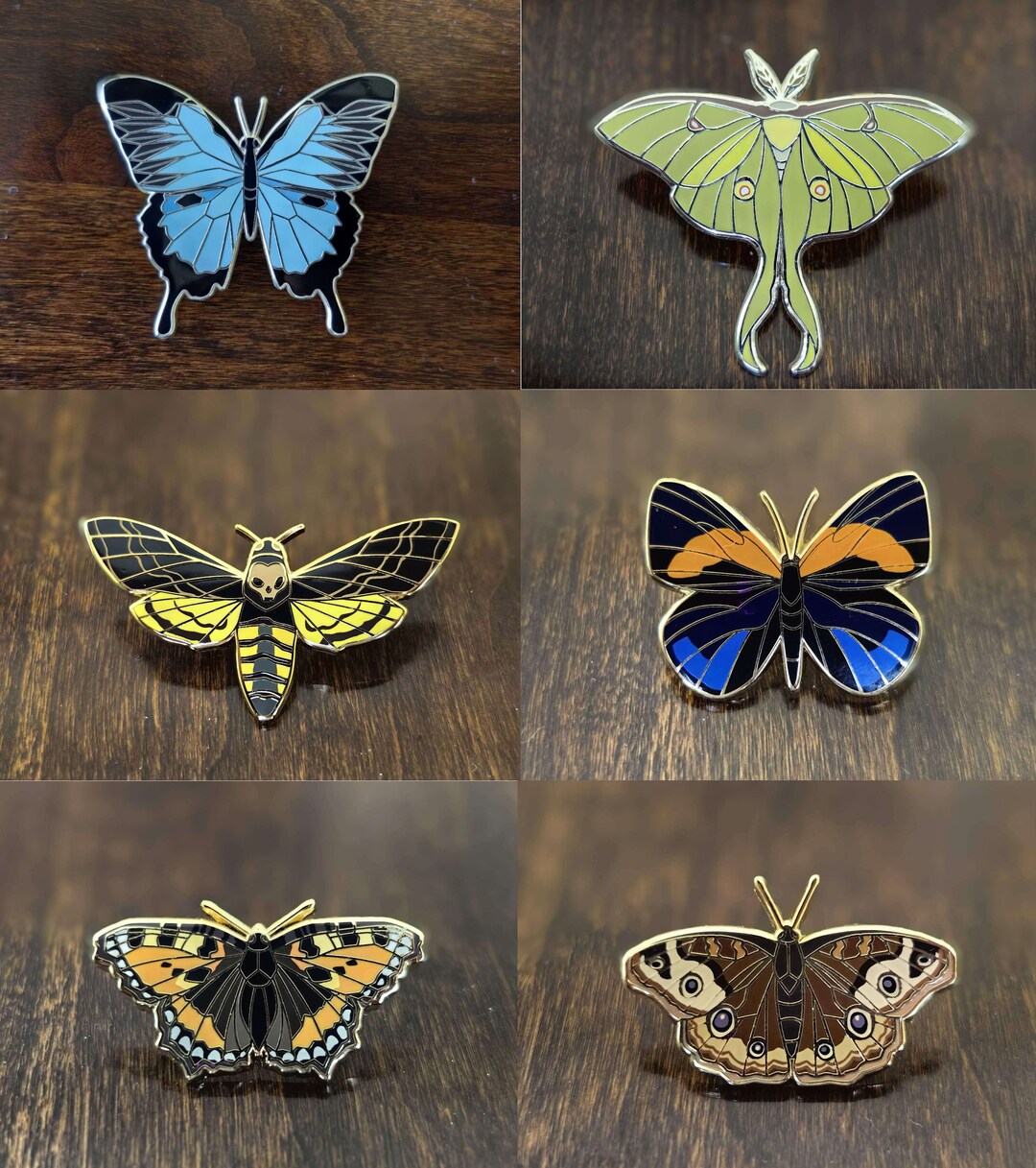 Lepidoptera Pin Collection [LIMITED] - Etsy