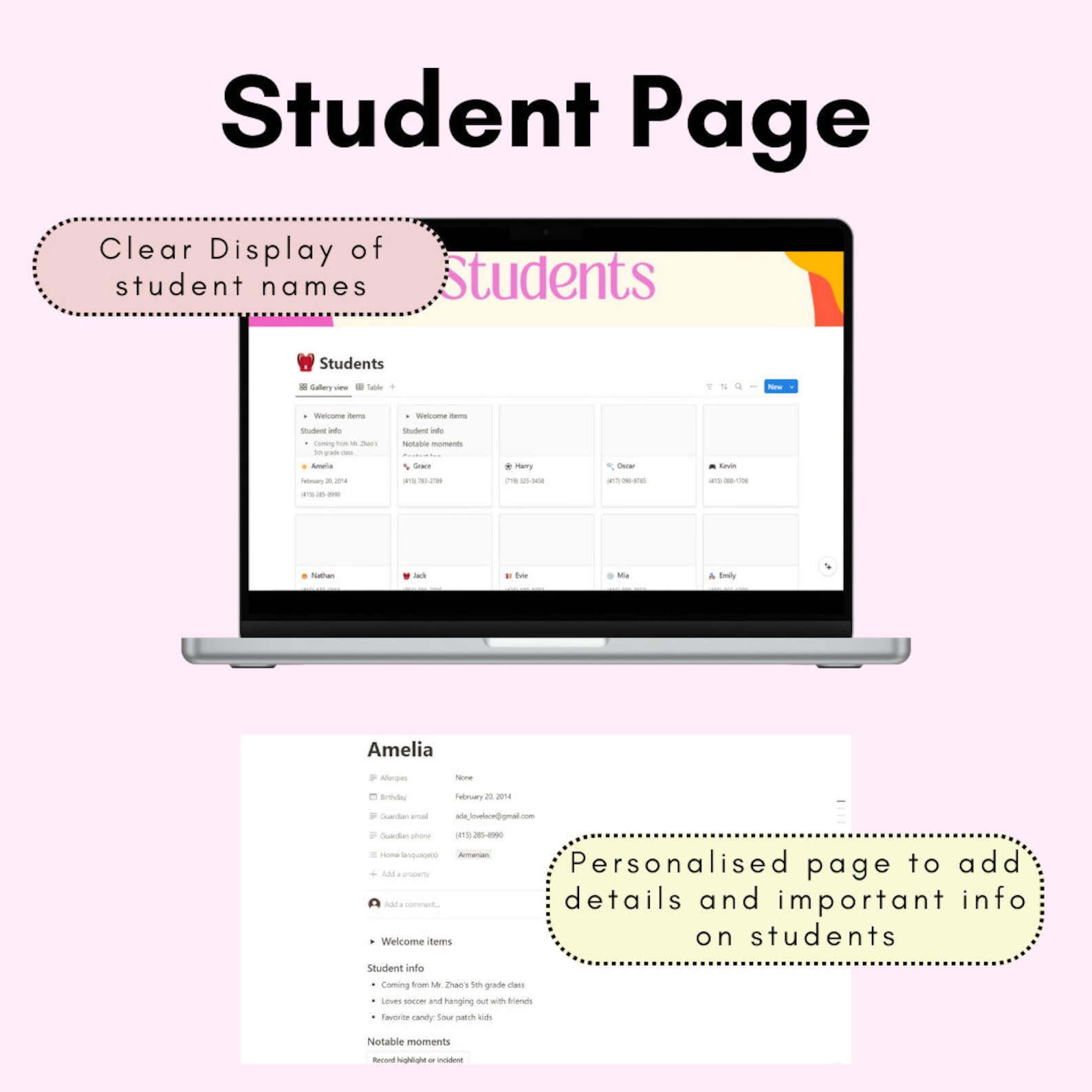 Notion Teacher Planner - Colourful Look, Teacher Organization, Teacher ...