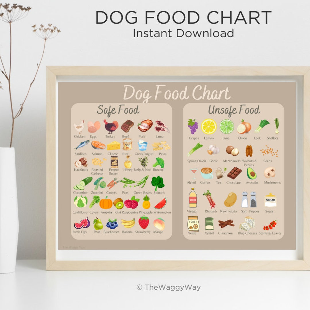 Dog Food Chart, Food Poster for Dogs, Safe Food for Dogs Cheat Sheet ...