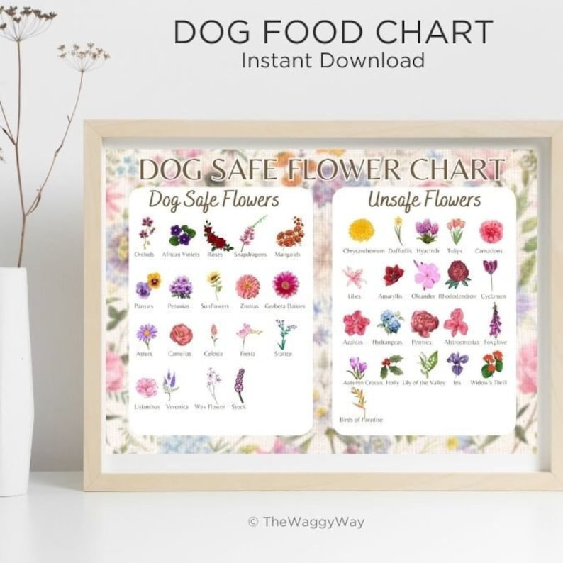Dog Safety Flowers Chart, Dog Safe Garden Cheat Sheet, Printable Safe ...