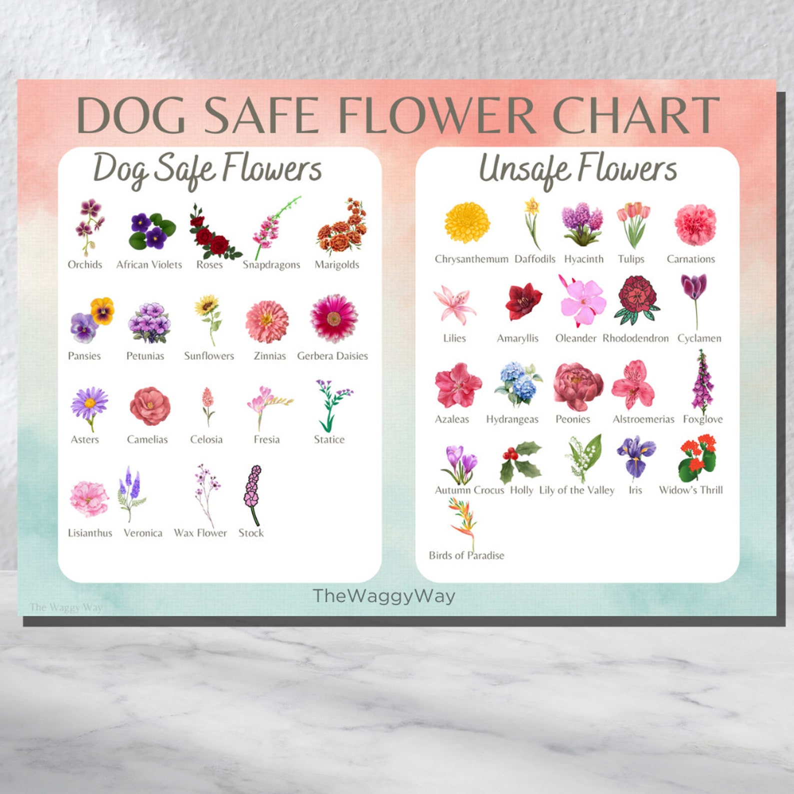 Dog Safety Flowers Chart, Dog Safe Garden Cheat Sheet, Printable Safe Dog Flower List, Dog Safe ...