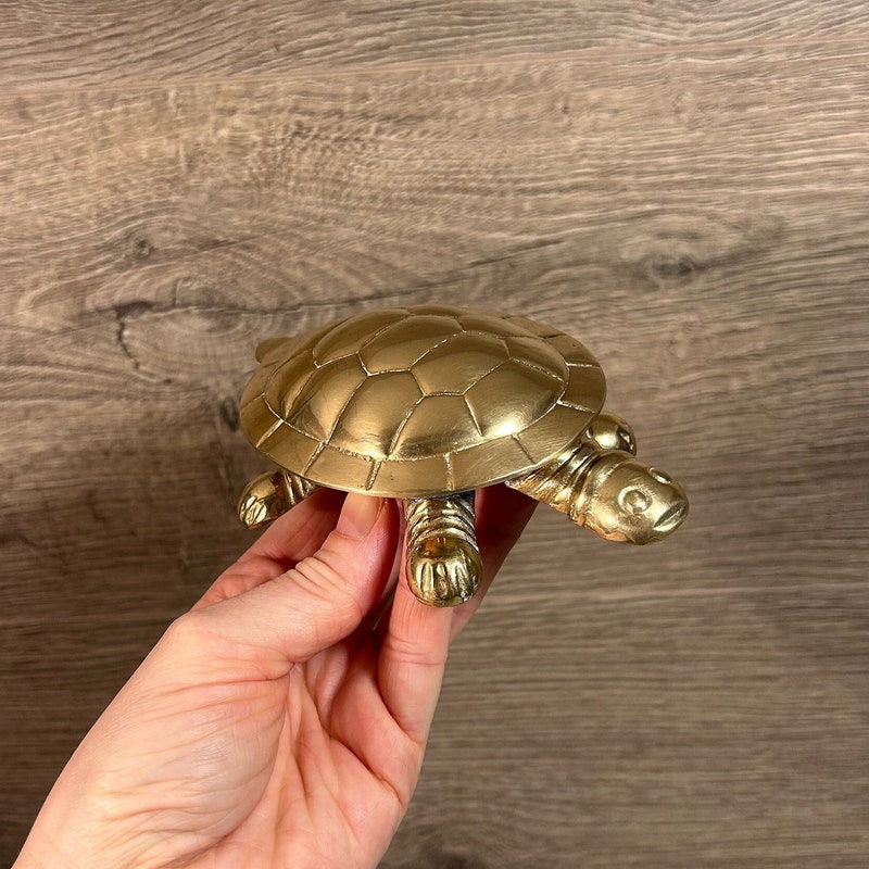 Turtle Jewelry Box - Etsy