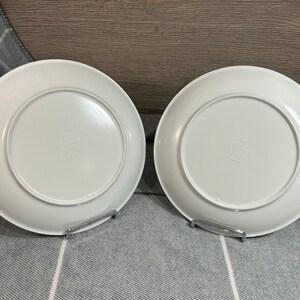 Vintage Melamina by Style per Alimenti Made in Italy Melamine Plastic ...