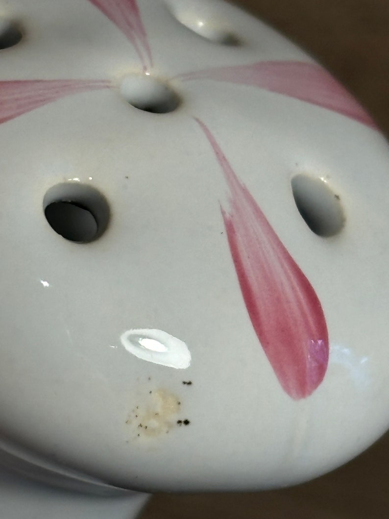 Vintage Pastel Pink Lotus Flower Watering Can | Orientally Inspired ...