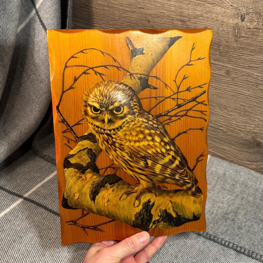 Vintage Basil Ede Little Owl Découpage Picture Hand Crafted by Deirdre ...