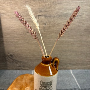 Vintage Cornish Scrumpy Legless but Smiling Flagon | Small Duo Tone ...