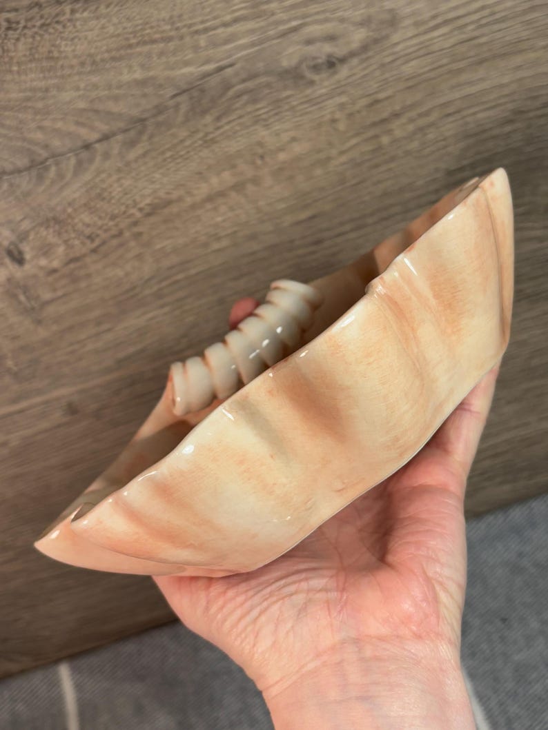 Vintage Villa Mimosa Pastel Coral Clam Shell Soap Dish Hand Made in ...
