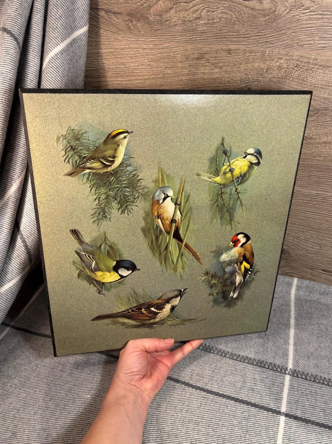 Vintage Raymond Watson Birds on Board Print Large Wall Hanging | Bird ...