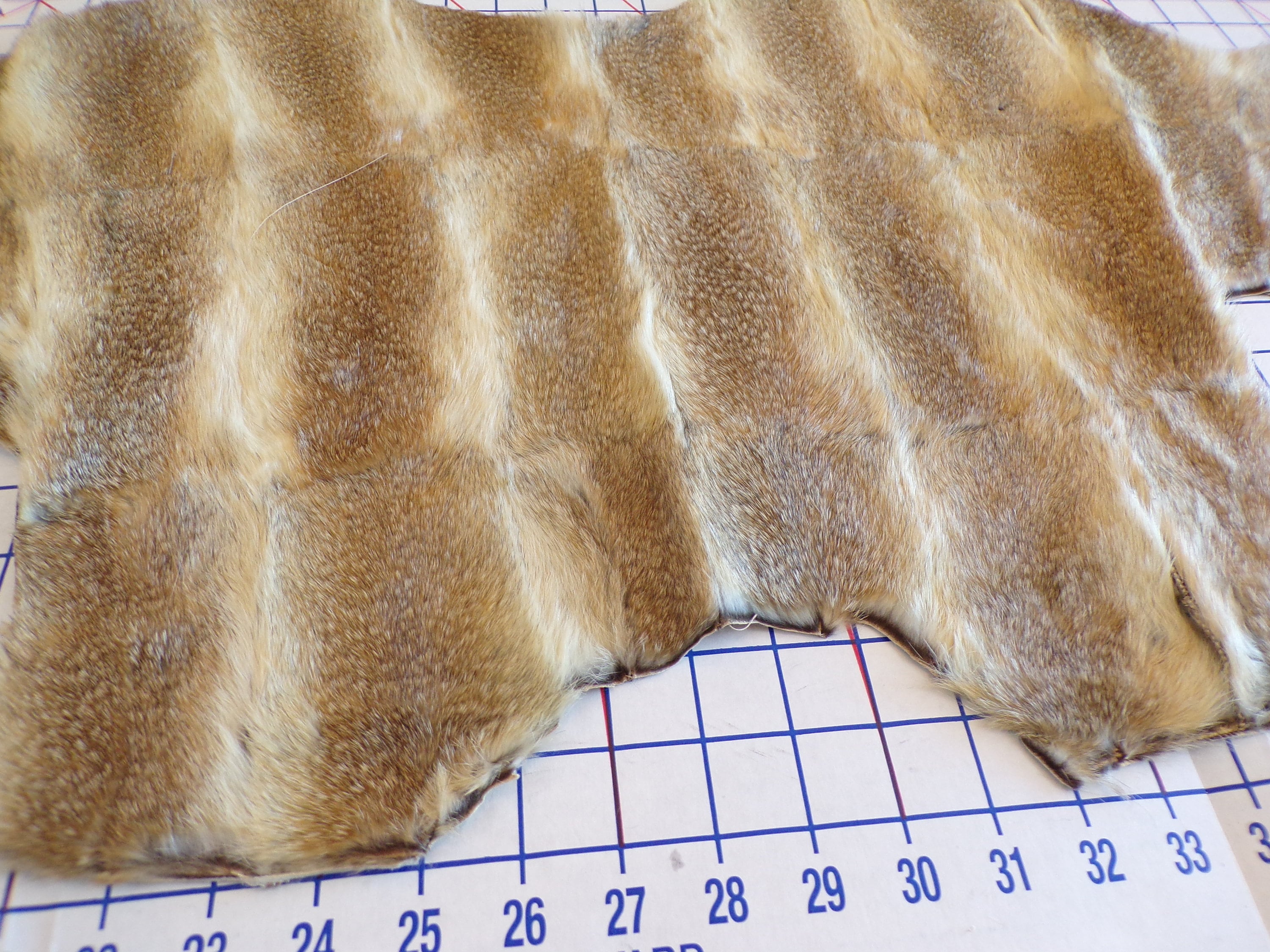 Real Shirred Fox Pieces DIY Craft Supplies Craft Cutter - Etsy