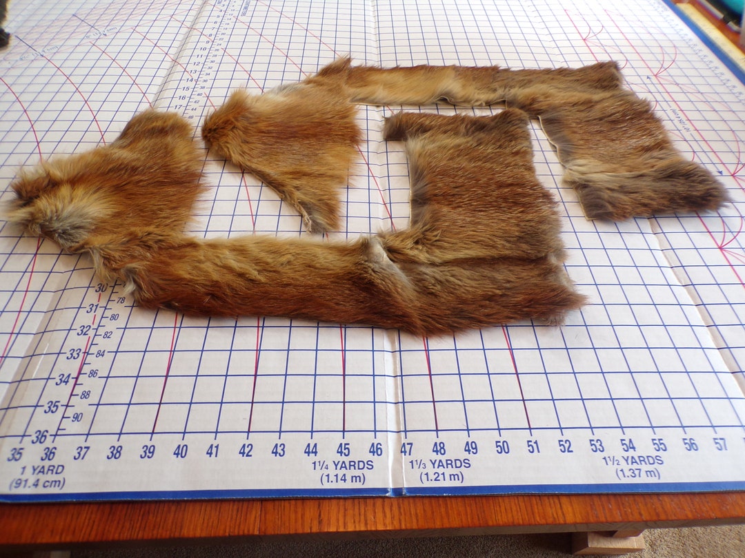 Real Red Fox 2 Pieces, DIY Craft Supplies, Craft Cutter Fur, Pieces ...