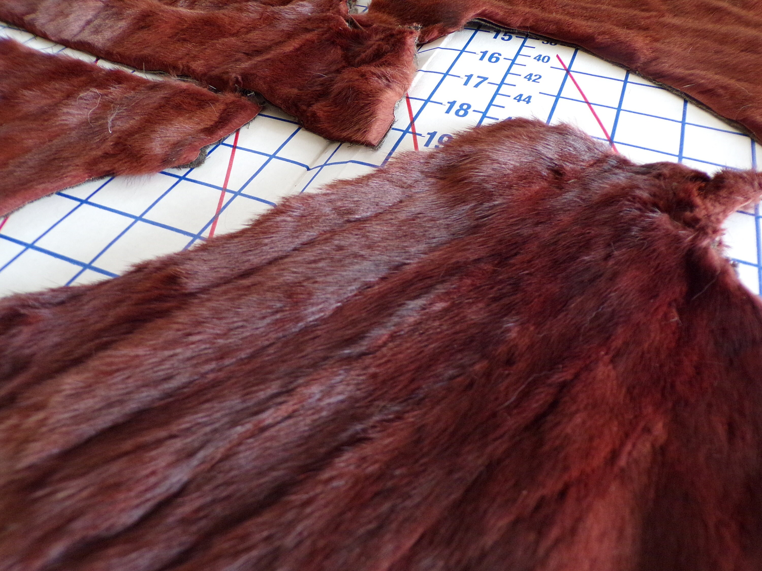 Real Russian Squirrel Fur 6 Pieces, DIY Craft Supplies, Craft Cutter ...