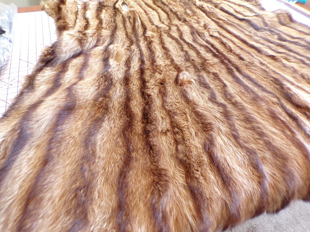 Real Raccoon 3 Pieces, DIY Craft Supplies, Craft Cutter Fur, Pieces ...