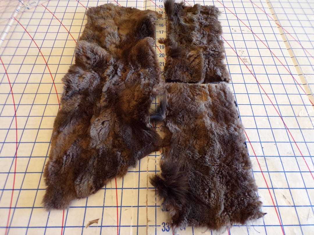 3 Pieces of Real Sheared Beaver, DIY Craft Supplies, From the Same Coat ...