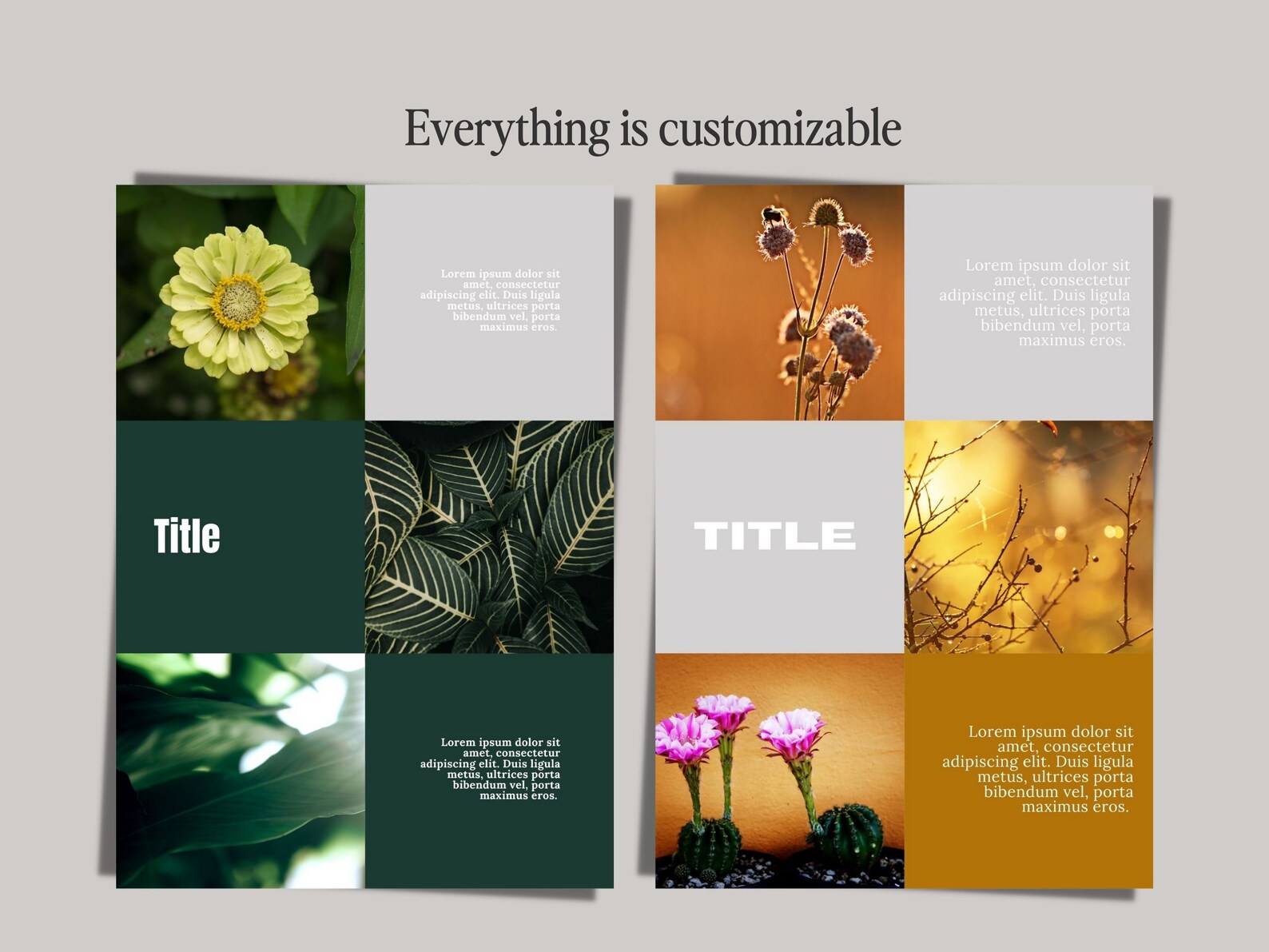 Canva Template Ebook Magazine Template: Create Stunning - Etsy