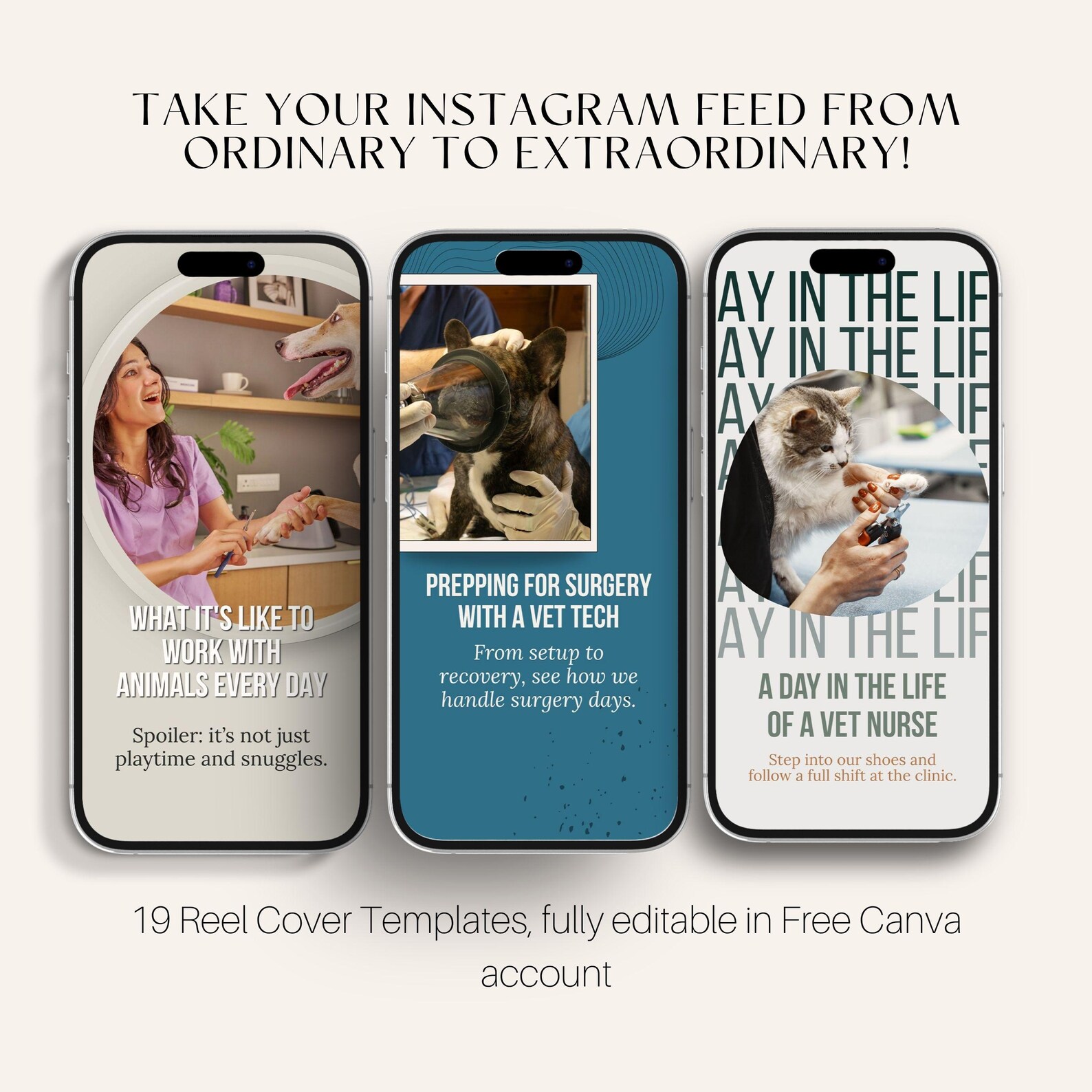 19 Veterinary Nurse Instagram Reel Cover Canva Templates, Canva ...