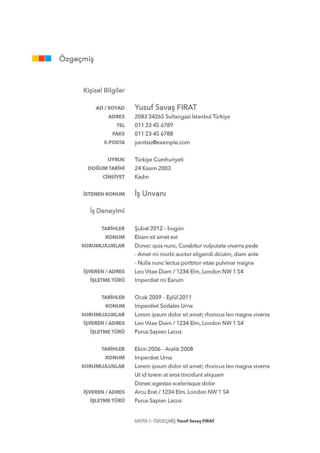 CV Template Resume Template Professional Job Resume - Etsy Ireland