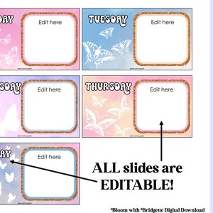 Swiftie Inspired Google Slides and Powerpoint Templates With Timers ...