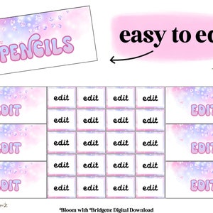 Swiftie Inspired Teacher Toolbox Labels, Pastel Classroom Decor ...