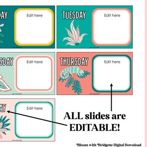 Bright Tropical Editable Slide Templates, Editable Classroom Decor ...