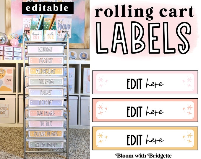 Custom Labels for Rainbow Rolling Teacher Cart / Teacher Drawer Labels ...