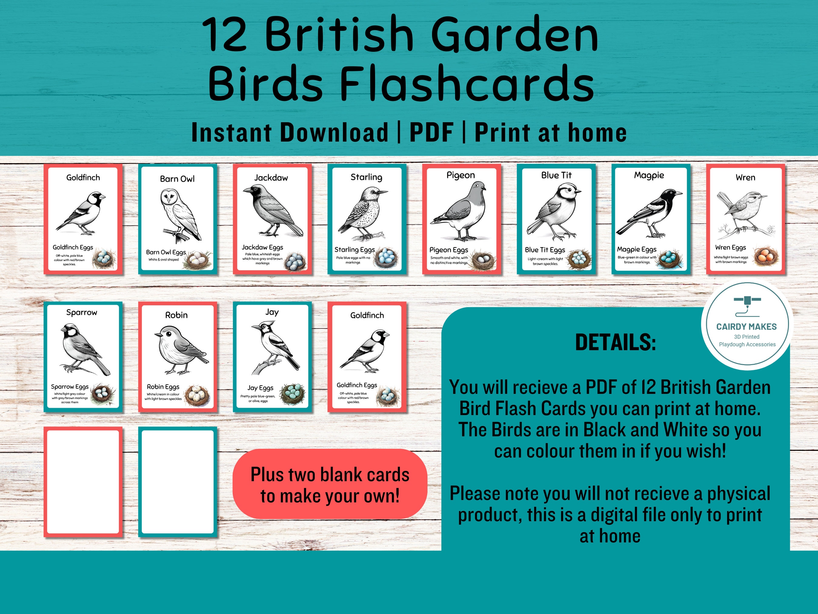 Printable Bird Flashcards Homeschool Printable Preschool Activities ...