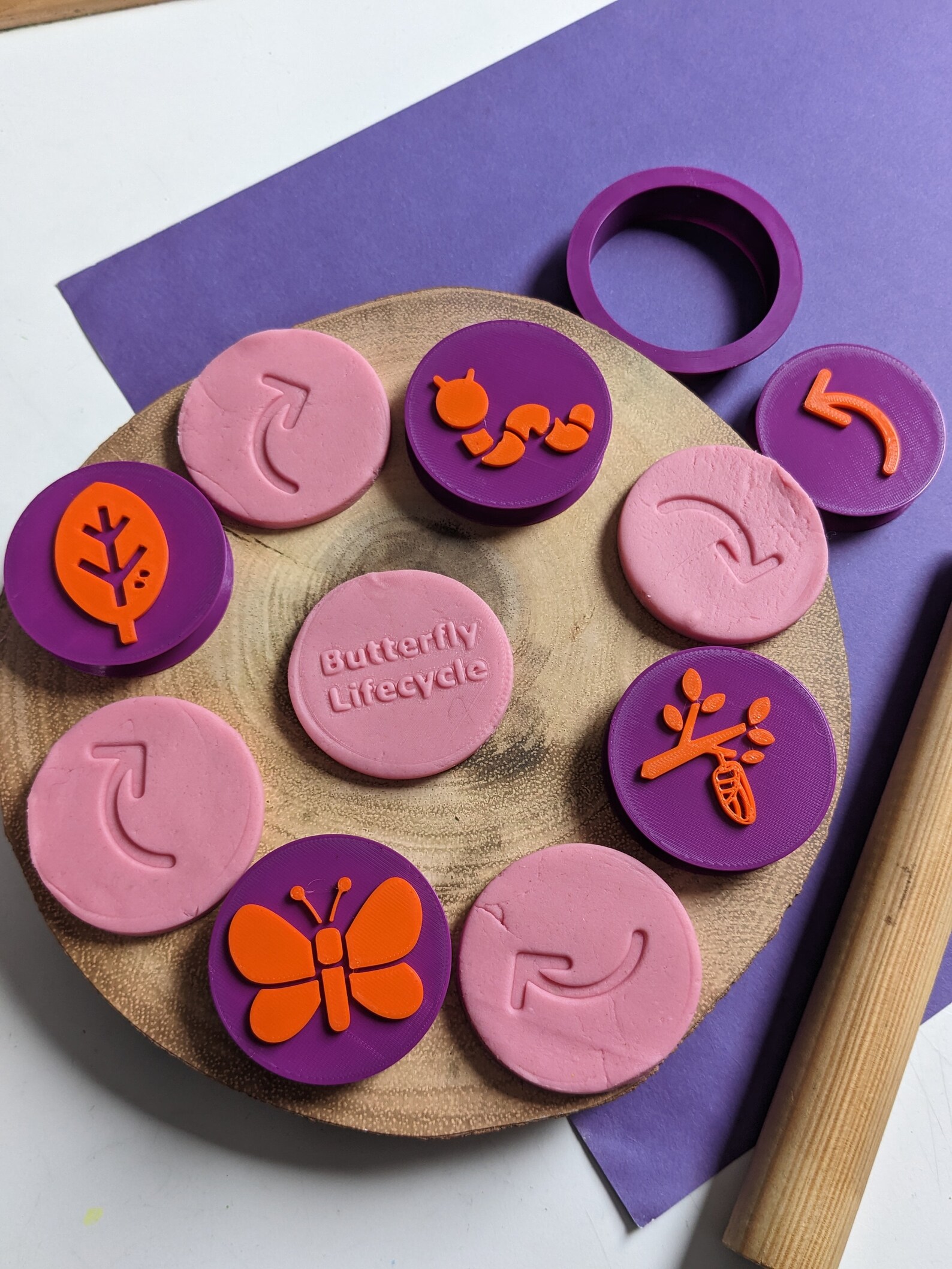 Butterfly Life Cycle Playdough Stamp Set, Educational Toy - Etsy UK