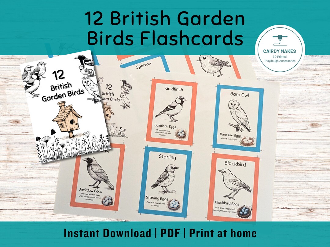 Printable Bird Flashcards | Homeschool Printable | Preschool Activities ...