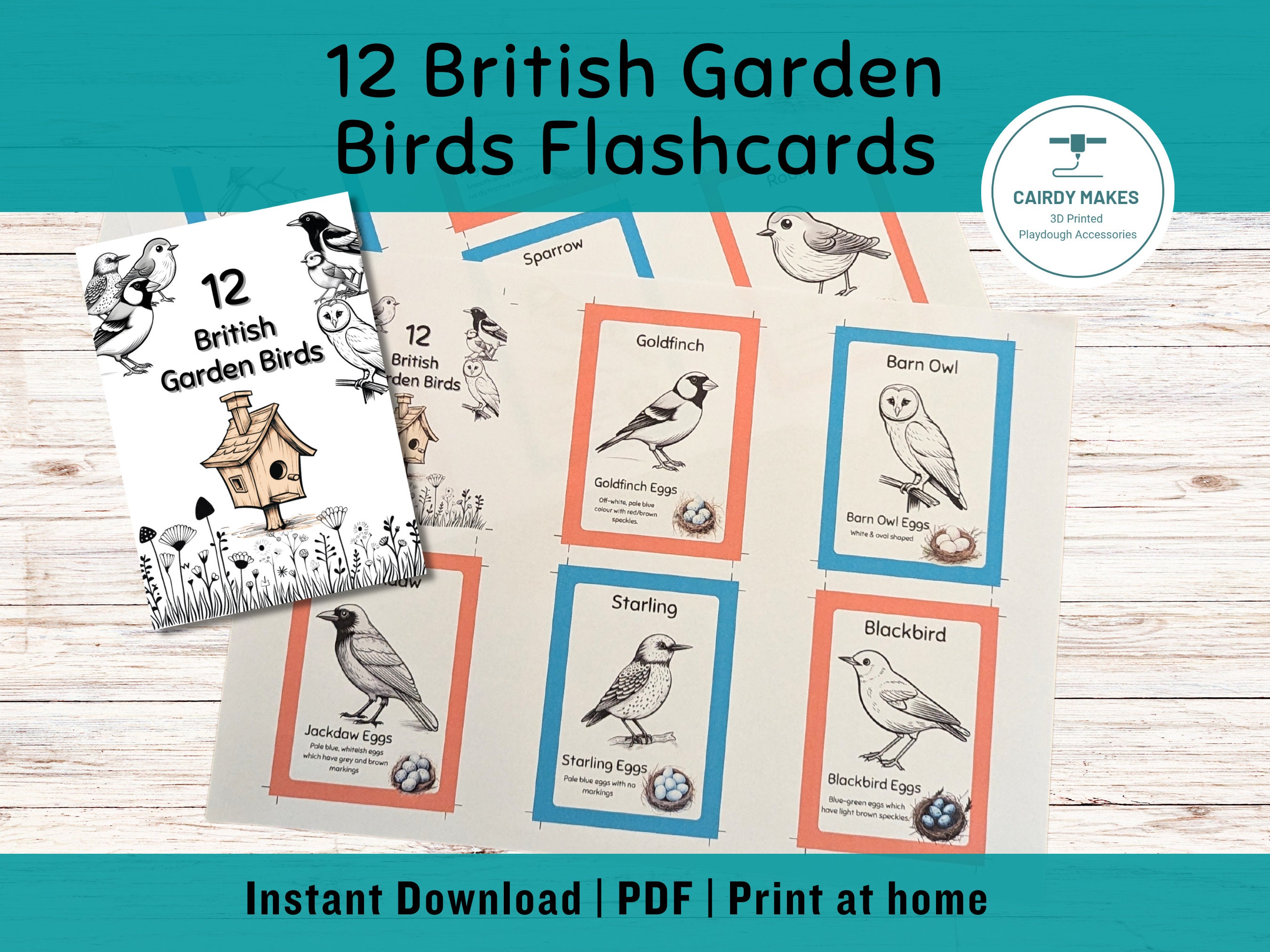 Tarjetas didácticas de aves imprimibles / Educación en el hogar ...