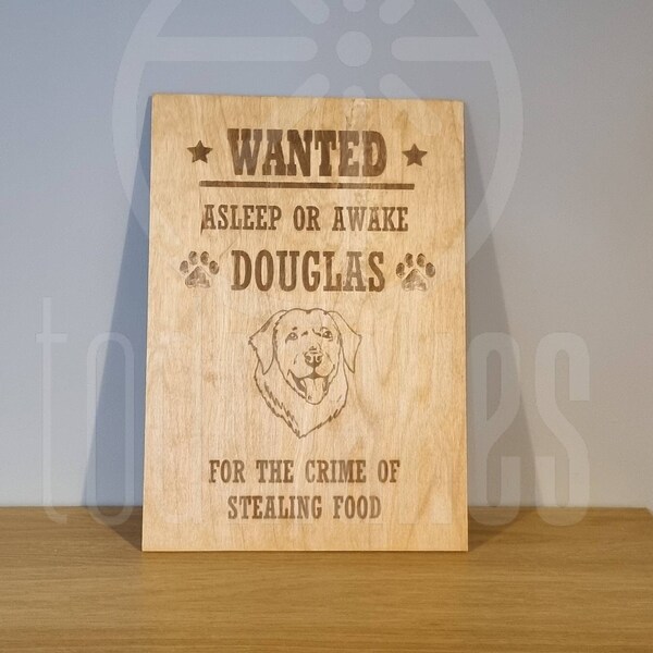 Wanted Poster - Etsy UK