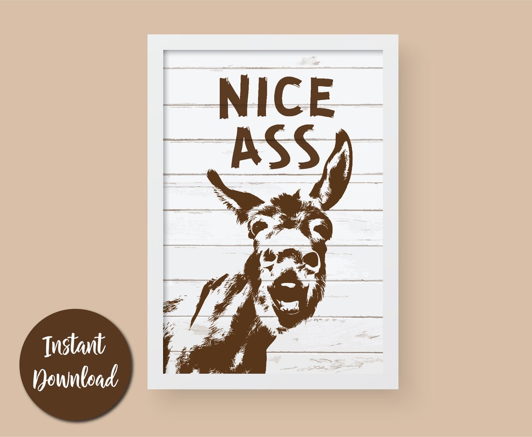 Nice Ass Funny Bathroom Signs, Cute Washroom Home Signs, Adult Humor ...