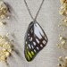Spotted Sawtooth Butterfly Necklace, Real Butterfly Wing Necklace ...